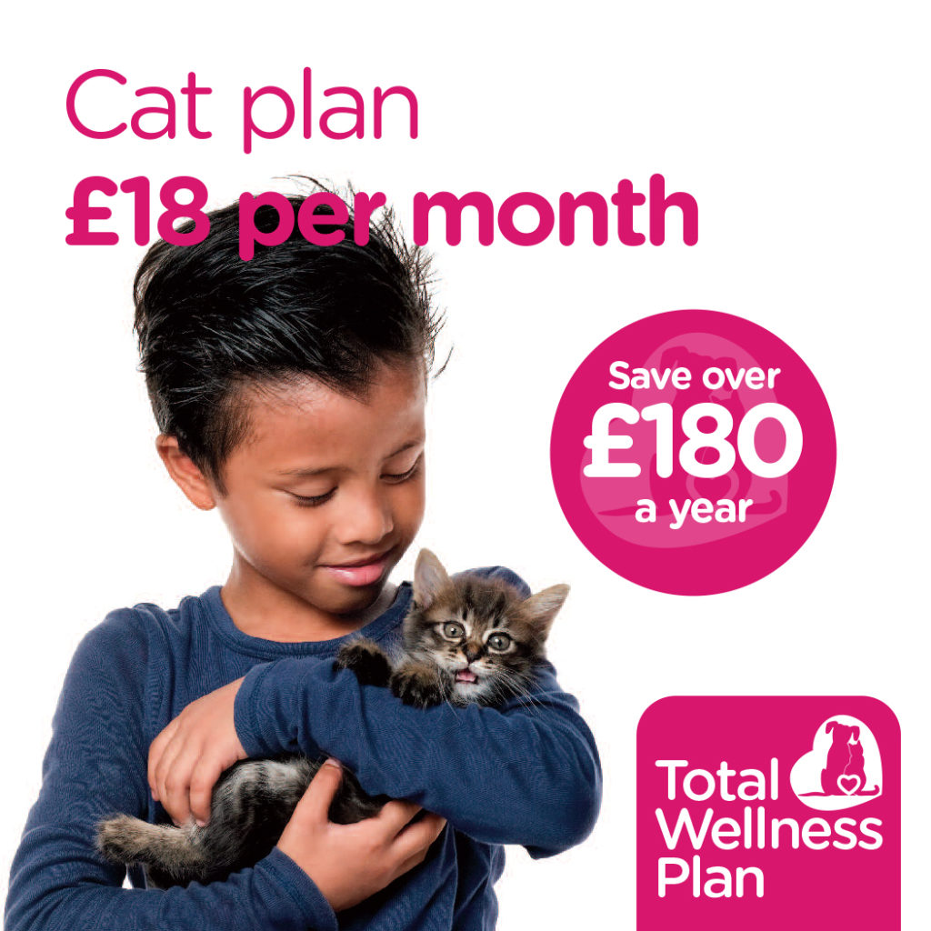 Total Wellness Plan – harrisonfamilyvets