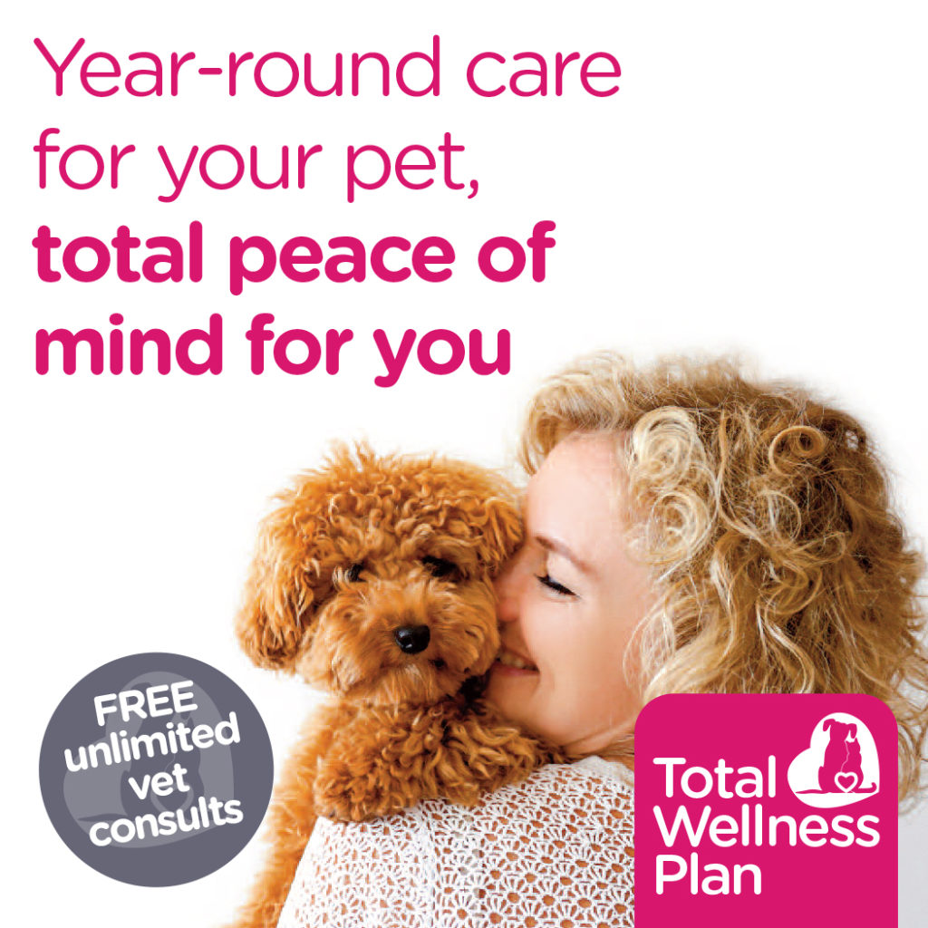 harrisonfamilyvets – Providing quality, accessible & affordable ...