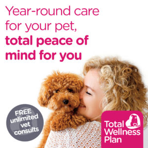 Reading – harrisonfamilyvets