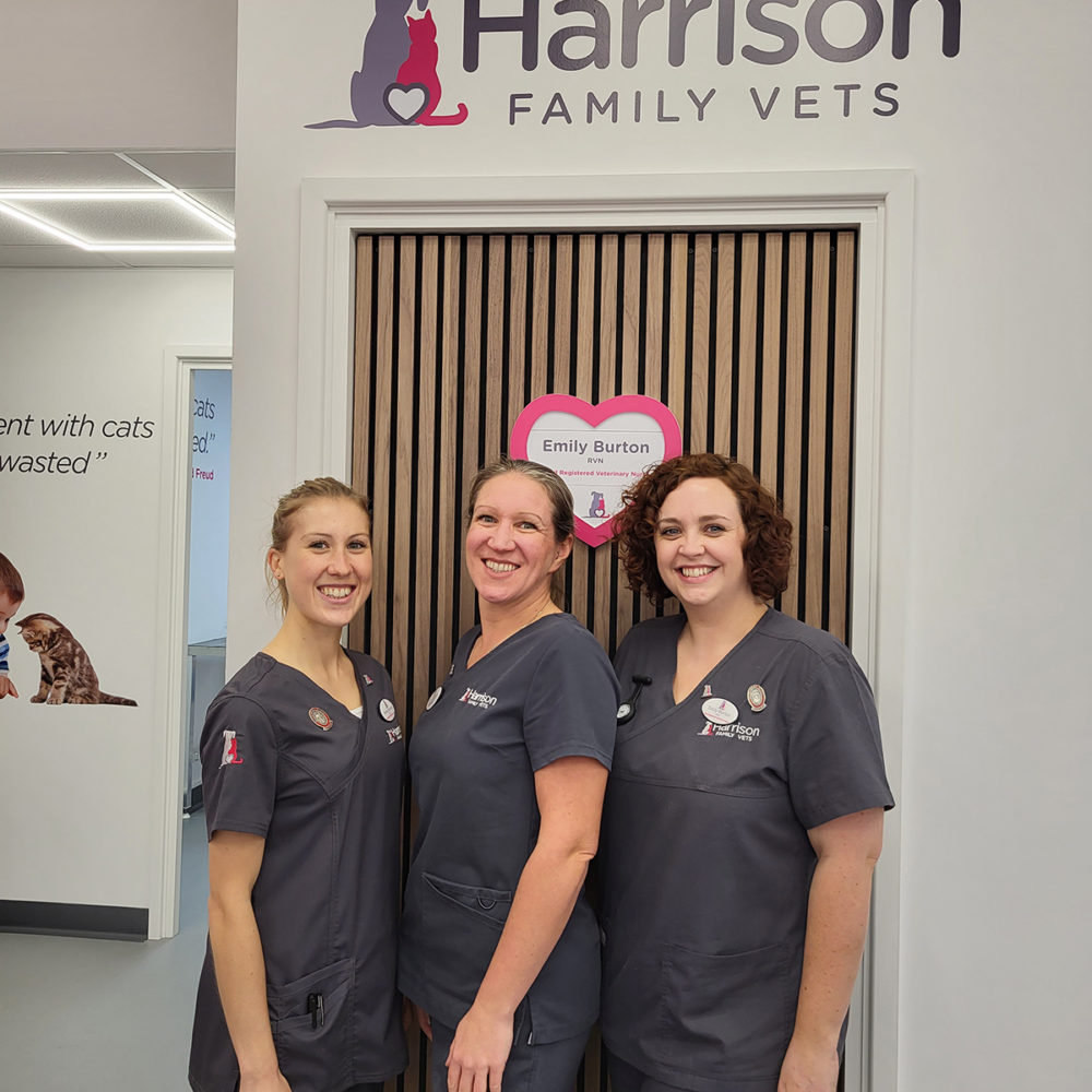 Stockton-on-Tees, Durham – harrisonfamilyvets