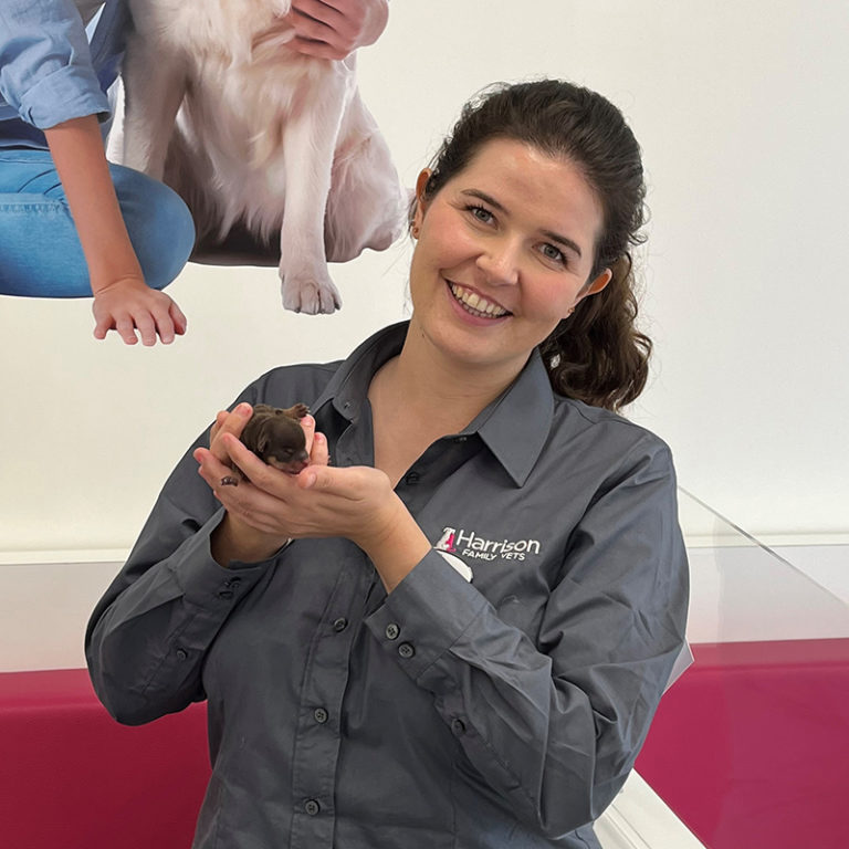 Doncaster – harrisonfamilyvets