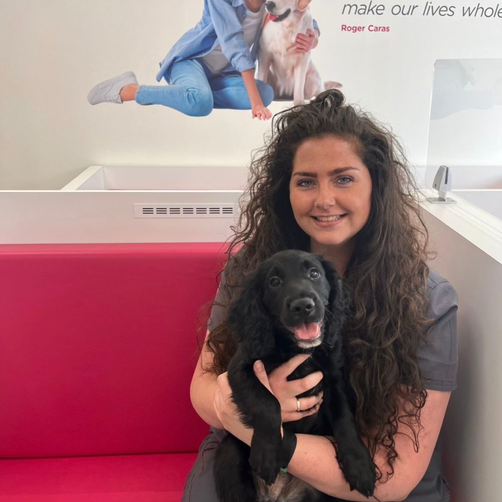 Doncaster – harrisonfamilyvets