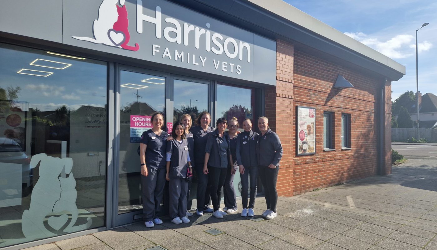 Reading – harrisonfamilyvets