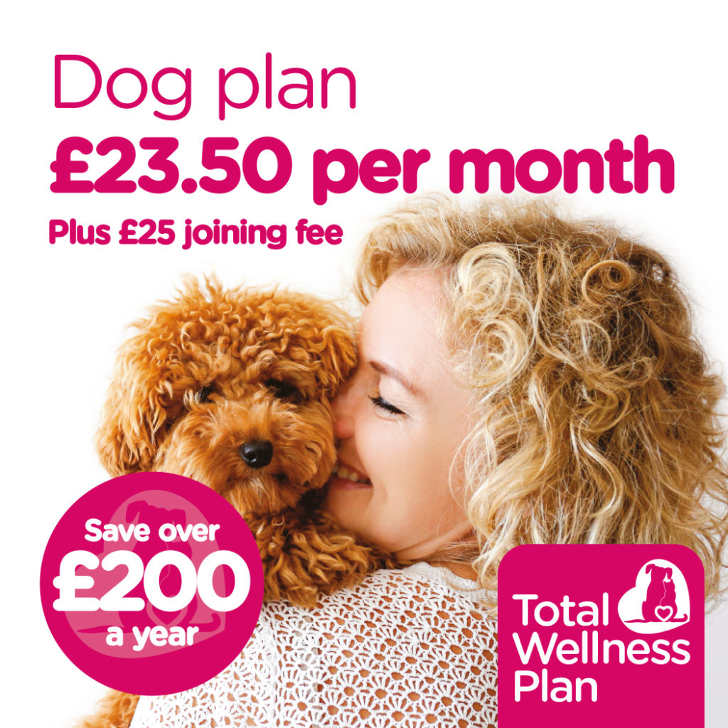Total Wellness Plan – harrisonfamilyvets