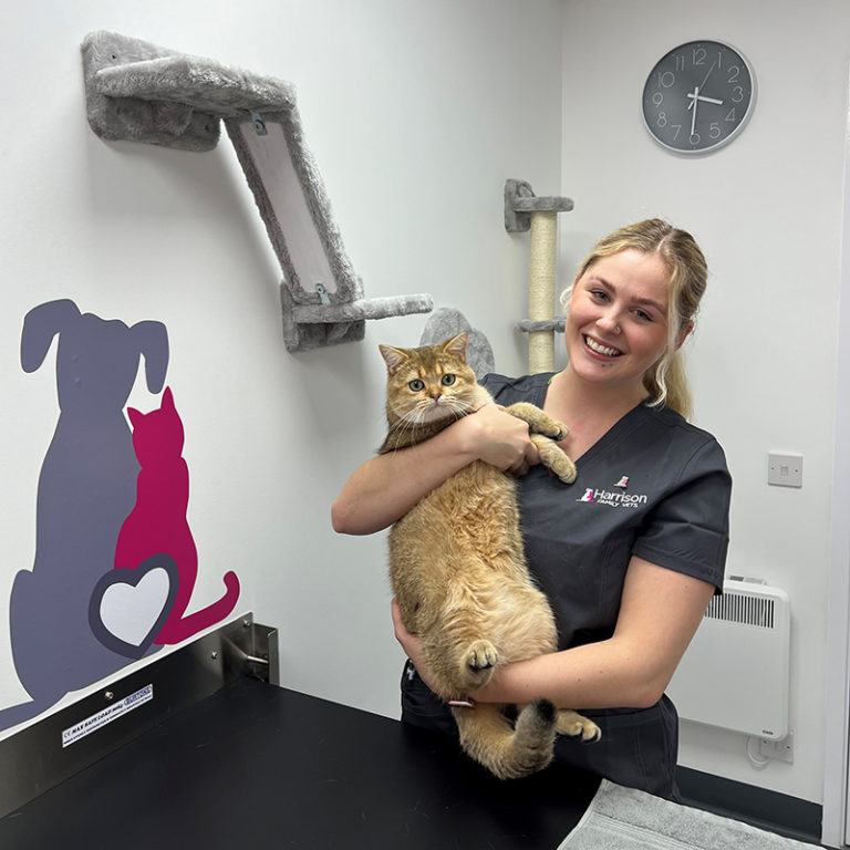 Middleton – harrisonfamilyvets