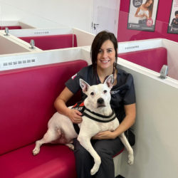 Middleton – harrisonfamilyvets