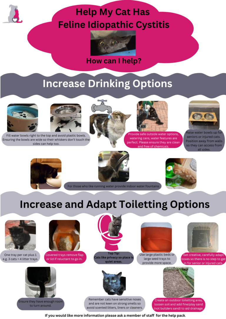 Feline Idiopathic Cystitis – harrisonfamilyvets