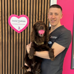 Longton, Stoke – harrisonfamilyvets