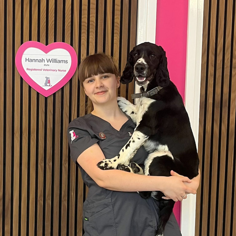 Longton, Stoke – harrisonfamilyvets