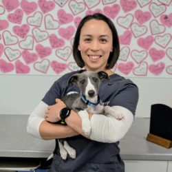 Careers at Harrison Family Vets – harrisonfamilyvets