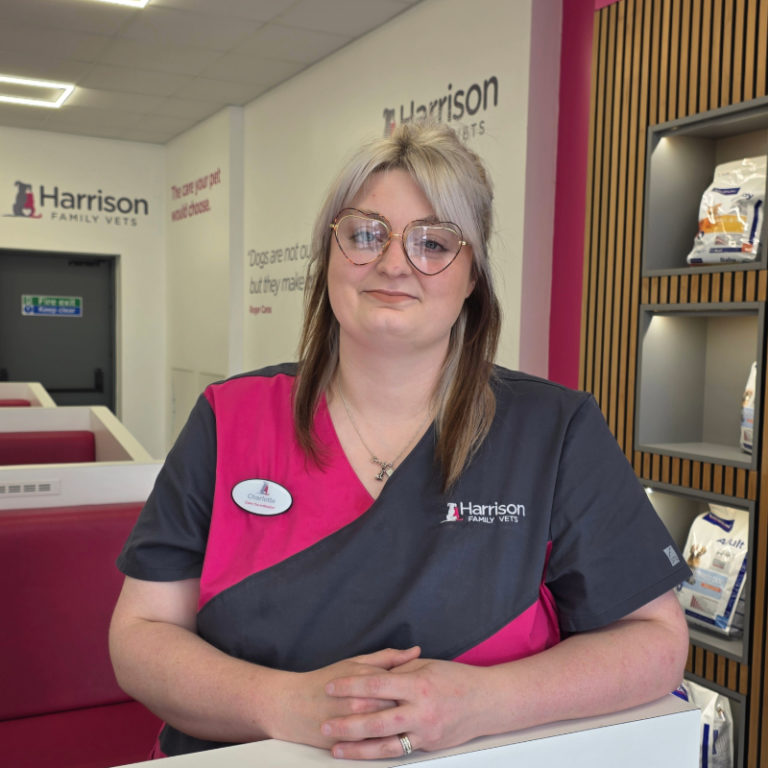 About us – harrisonfamilyvets