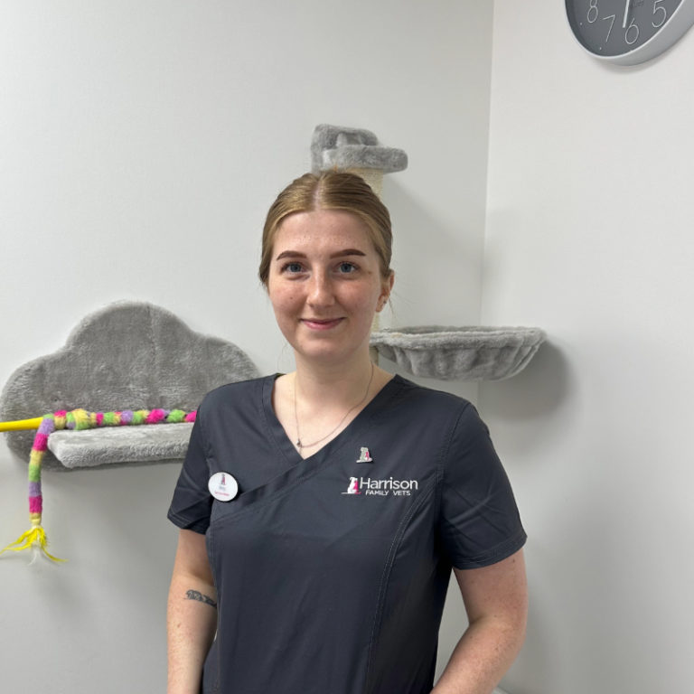 Middleton – harrisonfamilyvets